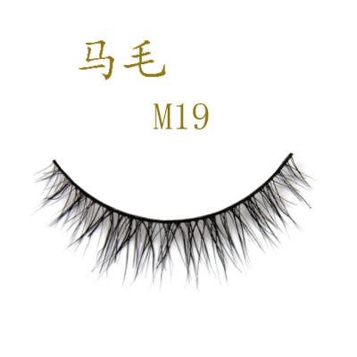 China Naturalness Luxury Horse Hair False Eyelash Cotton Stalk Cross Section Eyelash for sale