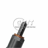 China Precise 28650351 DELPHI Diesel Fuel Injector for sale