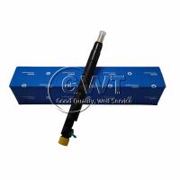 China Precise 28650351 DELPHI Diesel Fuel Injector for sale