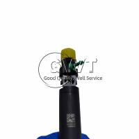 China Precise 28650351 DELPHI Diesel Fuel Injector for sale