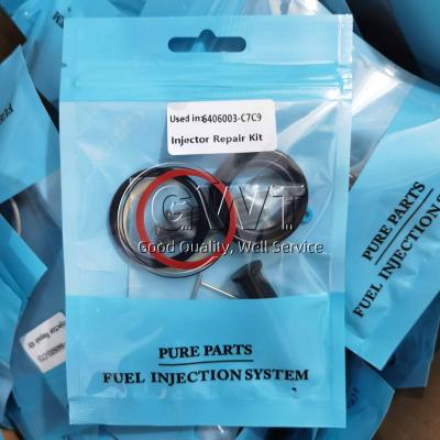 Cina Kit di riparazione degli iniettori 6406003-C7C9 per il CAT C7 C9 in vendita