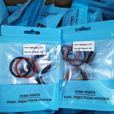 Cina Kit di riparazione degli iniettori 6406003-C7C9 per il CAT C7 C9 in vendita