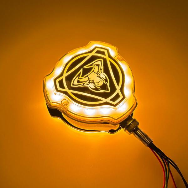 Quality New 12-24V LED Side Marker Signal Light for Trucks with Scania MAN Mercedes for sale