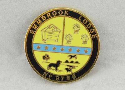 Cina Il Pin duro d'imitazione dello smalto della casetta in lega di zinco/Pin del risvolto Badges con doratura in vendita