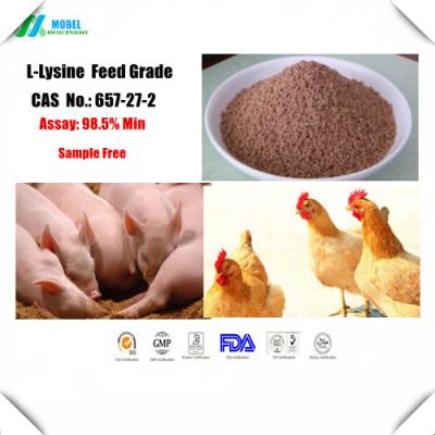 China Quality L-Lysine 657-27-2  amino acids for  animal nutrition feed additive for sale