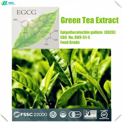 China EGCG/catechins /Green tea extract with tea Polyphenols L-Theanine for sale