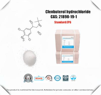 China Pharmaceutical raw materials  Clenbuterol hydrochloride powder CAS 21898-19-1 free shipping for sale
