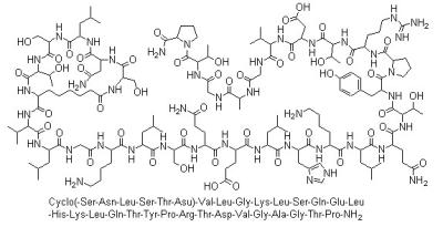 China Custom peptide Pharmaceutical intermediates Elcatonin for sale