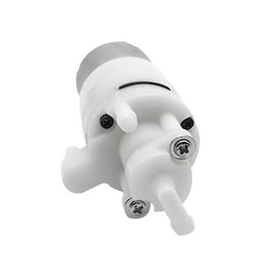 Cina Drinking Water Treatment Wholesales 6v Mini Automatic Foaming Micro Foam Pump with Foam Head in vendita