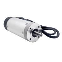 China Speed Gate EBS59R 0.5N.M 3 Phase 24 Volt Servo Motor 2400 Lines Encoder for sale