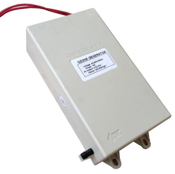 Quality Customized 200-300 mg/hr Ozone Generator for Water Purification Machine Ozone Output for sale