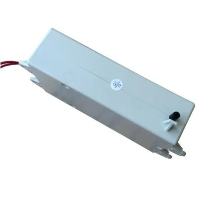 China Customized 200-300 mg/hr Ozone Generator for Water Purification Machine Ozone Output for sale