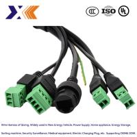 China Assembly Customised Assembly for Customized Pin Pitch Plastic Connector Wire Harness for sale