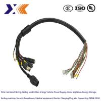 China Assembly Customised Assembly for Customized Pin Pitch Plastic Connector Wire Harness for sale