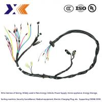 China Customised Assembly Control Switch Wire Harness for Controlling General Engineering for sale