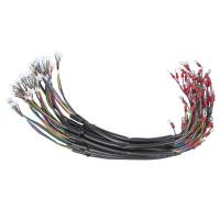 China Customised Assembly Control Switch Wire Harness for Controlling General Engineering for sale