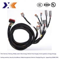 China General Engineering Customized Design Control Switch Wire Harness for Customised Assembly for sale