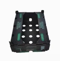 China Width 2200mm Fruit Packaging Boxes Polypropylene Fruits Packing Plastic Box for sale