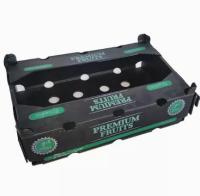 China Width 2200mm Fruit Packaging Boxes Polypropylene Fruits Packing Plastic Box for sale