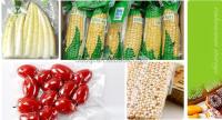 China Automatic Chamber Vacuum Packaging Machine Easy Operation With App Control for sale