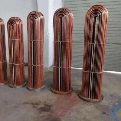 Cina Shell Coil Tube Heat Exchanger di titanio 50mm 700p in vendita