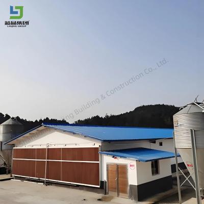 China Agriculture Pole Barn Steel Structure Farm Shed Building Poultry Chicken House for sale