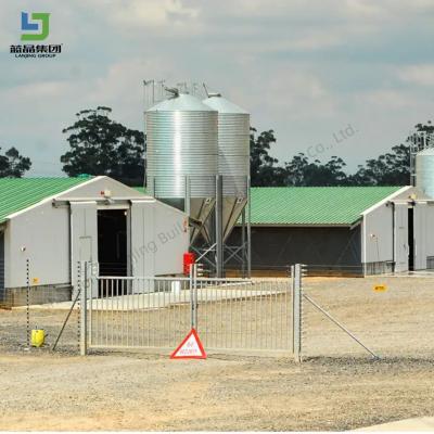 China High Quality Chicken Broiler Poultry Farm Steel Structure Shed House  Layer Chicken House Full Set Equipment for sale