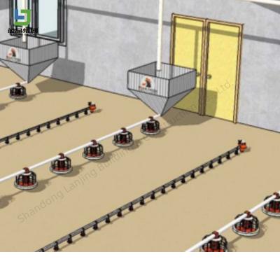 China Custom Steel Structure Poultry House for Chicken Farming for sale