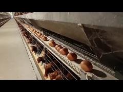 One Stop Steel Structure Poultry House Sliding Door Aluminum Window