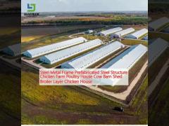 Prefabricated Ready Made Wholesale Steel Structure Cattle Cow Goat Poultry Houses Farm Construction  Shed Broiler Layer Chicken House