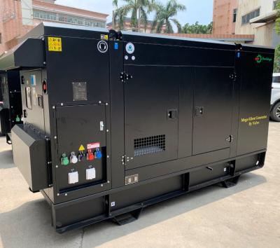 China EPA goedgekeurd voor de Amerikaanse en Canadese markt Diesel generator set for sale