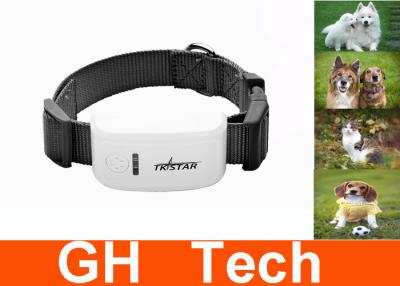 China Perseguidor de GPS do cão preto da G/M GPRS, cão de GPS da faixa do quadrilátero que segue para animais de estimação à venda