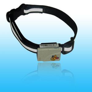 track your child gps