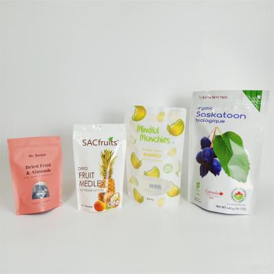 Cina Frutti asciutti di plastica del commestibile i piccoli che imballano l'abitudine del sacchetto hanno stampato in vendita