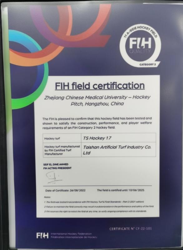 11A -SIDE HOCKEY FIELD - Leling Taishan Artificial Turf Industry Co.,Ltd.