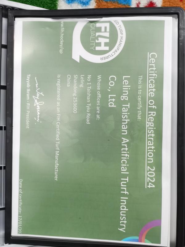 Certificate of registration 2024 - Leling Taishan Artificial Turf Industry Co.,Ltd.