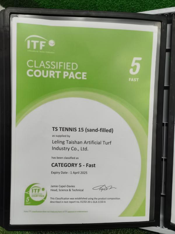  - Leling Taishan Artificial Turf Industry Co.,Ltd.