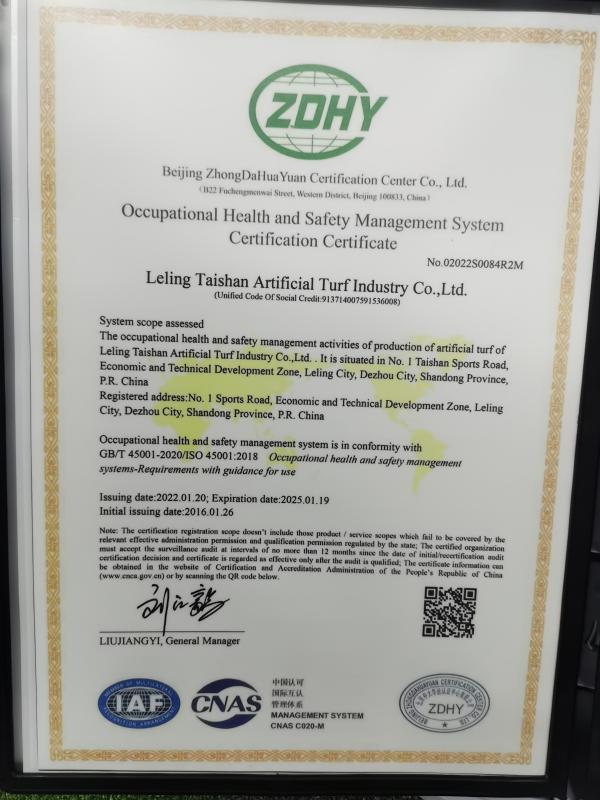  - Leling Taishan Artificial Turf Industry Co.,Ltd.