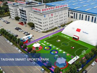 China Factory - Leling Taishan Artificial Turf Industry Co.,Ltd.