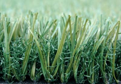 Cina 60 mm Altezza del palo Calcio erba artificiale Astroturf 140 punti/M resiliente erba artificiale in vendita