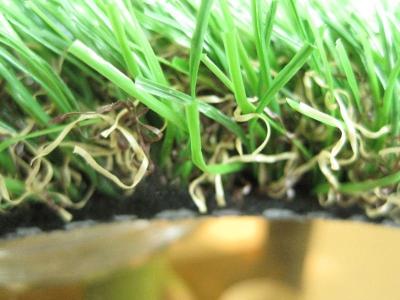 China 140 hechtingen/m voetbal kunstgras 60 mm kunstgras voor sport met 12000 Dtex en 8820 dichtheid Te koop