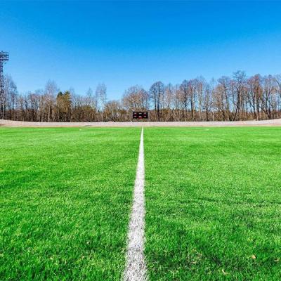 China Football Artificial Turf Gauge 5/8 Inch PE material Green color Fake Grass For Soccer Fields and school playgrounds for sale