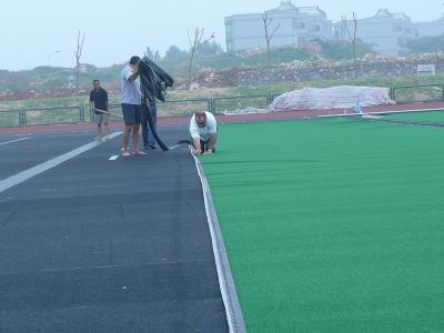 Cina 17 mm di materiale PE per golf erba artificiale per sport all'aperto o pavimento con buchi di drenaggio e alta densità in vendita