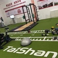 Quality 19mm Pile Height UV Resistant Artificial Grass for Sports Fields with Non-infill for sale