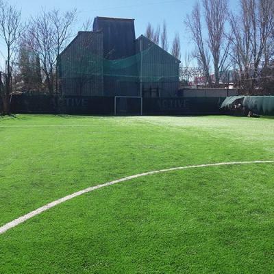 Cina 55mm altezza del palo calcio erba artificiale per calcio necessaria per riempimento resistente agli UV permeabile all'acqua erba artificiale verde in vendita