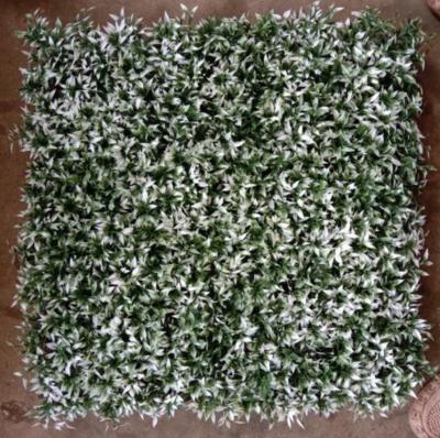 中国 50cm*50cmのサイズで 建物の美しさを高めるための 人工壁草 販売のため