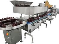 China Fully Automatic 32-Channel Tablet Capsule Counting Machine 70-90 Bottles per Minute for sale