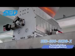 SED-680-6KDB-X Particle Multi Row Packaging Machine