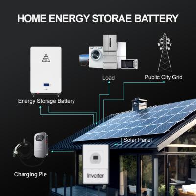 Cina 48V 200Ah Potenza Energia Batteria a montaggio murale 10KWH Per il collegamento alla rete ibrida in vendita