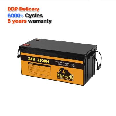 Cina 24V 50Ah 60Ah 100Ah 200Ah 230Ah 300Ah 400Ah 460Ah Batteria al litio in ferro LifePo4 con BMS in vendita